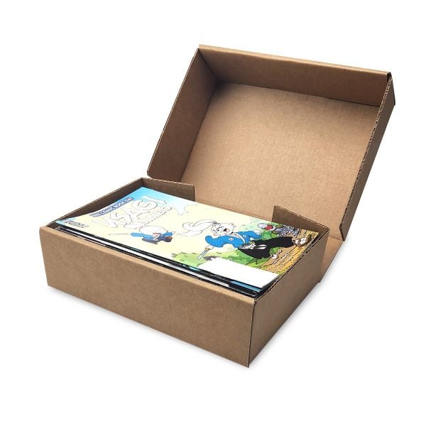 BCW comic book mailer with stack of comics – Collectors Hub